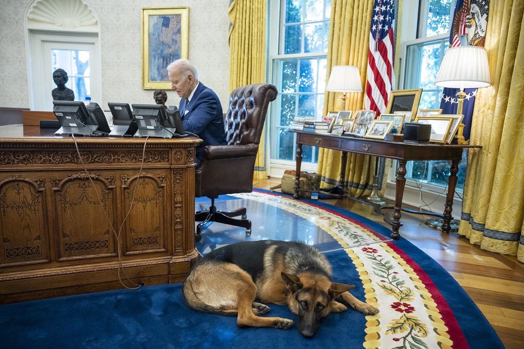 The political science behind the Bidens’ biting dogs