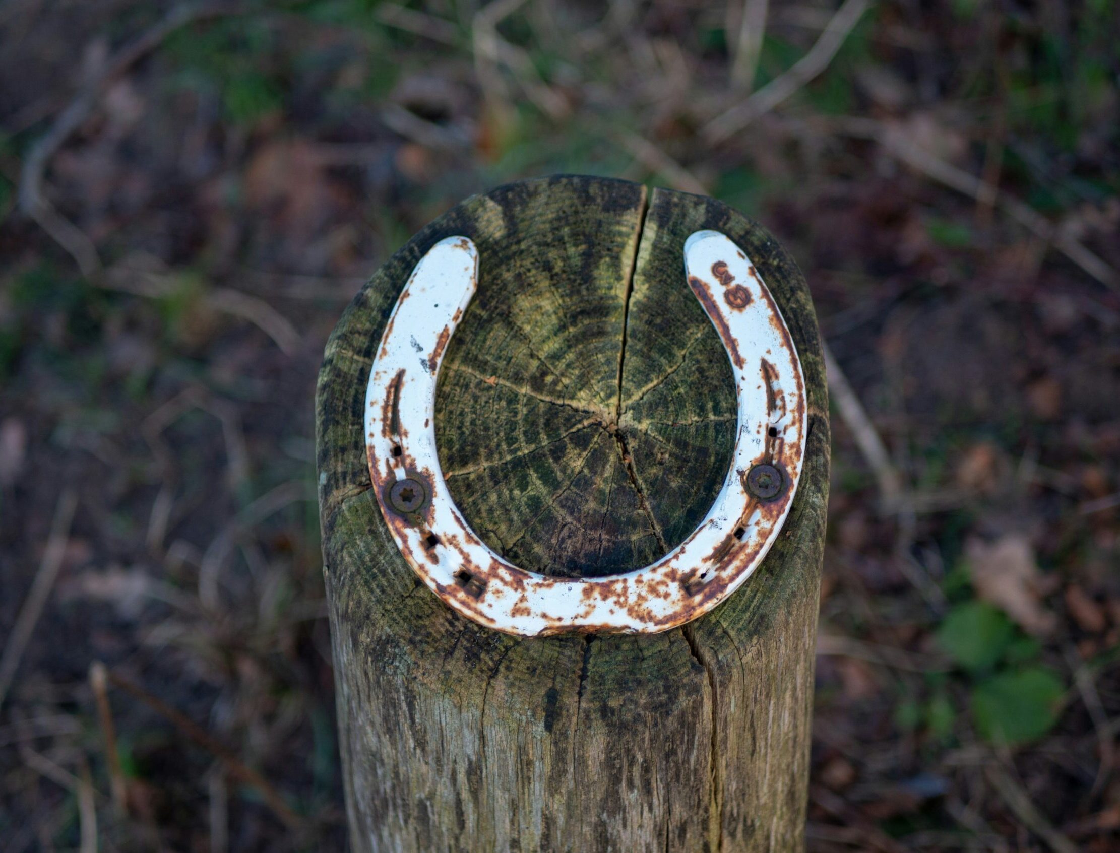 The populism horseshoe